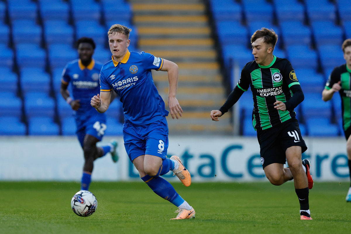 Shrewsbury boss Matt Taylor gives update on Southampton loanee Ryan ...