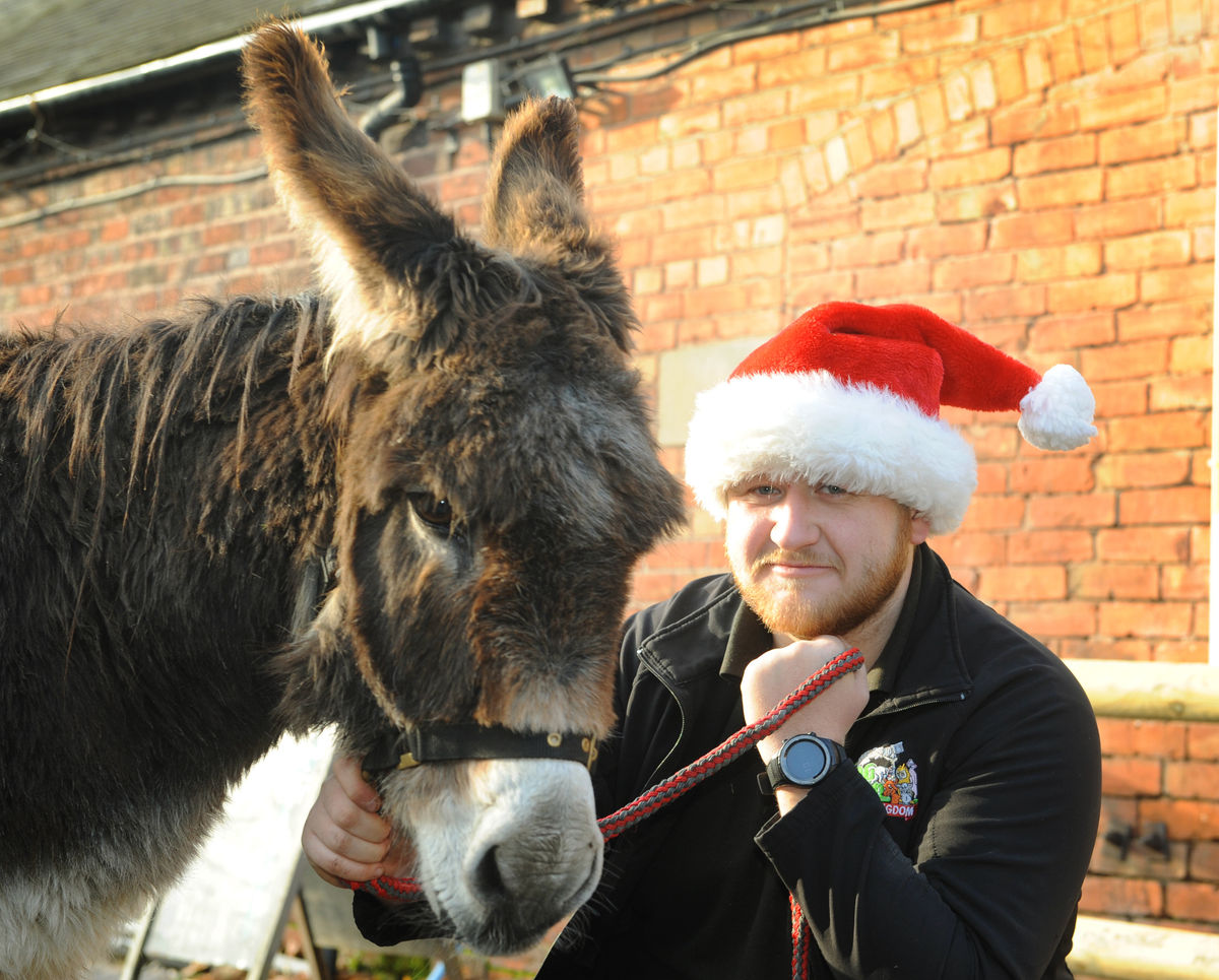 Hoo Farm planning for the future after Christmas cancellation ...