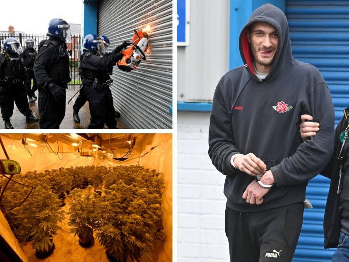 Inside the Wolverhampton cannabis factory where gardener tried rooftop ...
