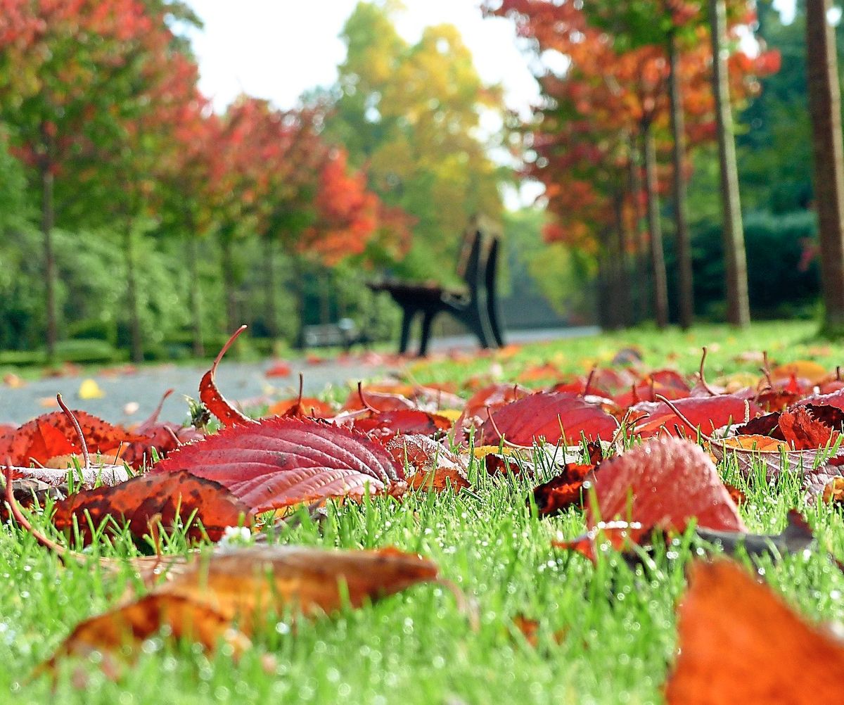Sarah Cowen-Strong: Autumn brings out my inner child | Express & Star