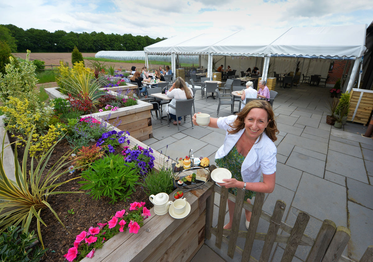 Afternoon tea served up at Essington Farm cafe | Express & Star