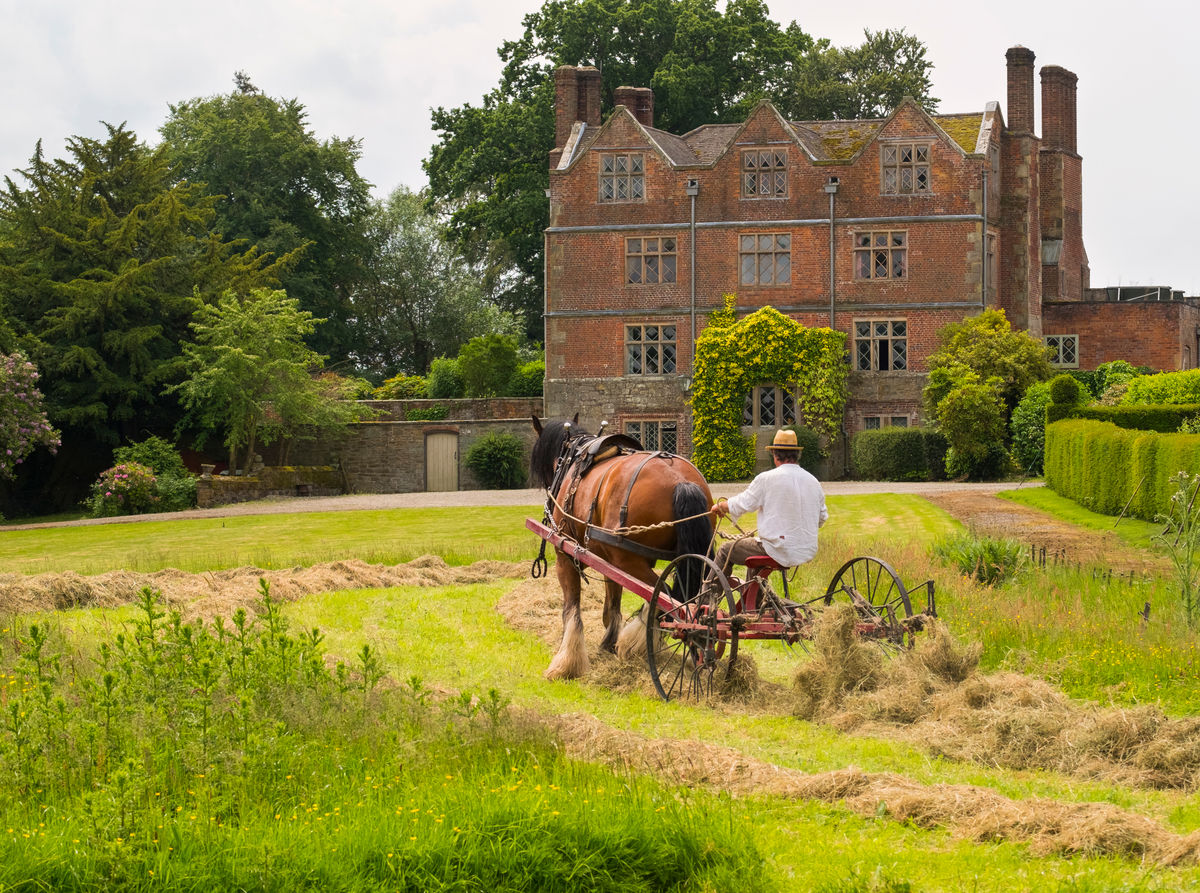 How volunteers brought a beloved Shropshire working farm back to life ...