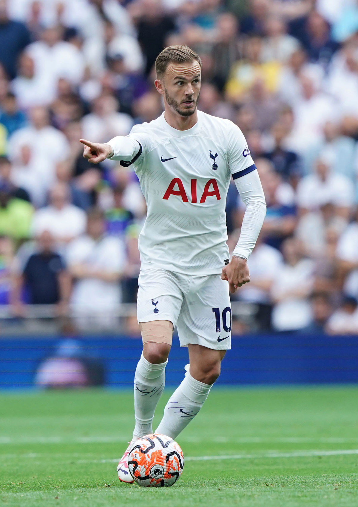 Tottenham v Wolves: Spurs returning to full strength after injuries and ...