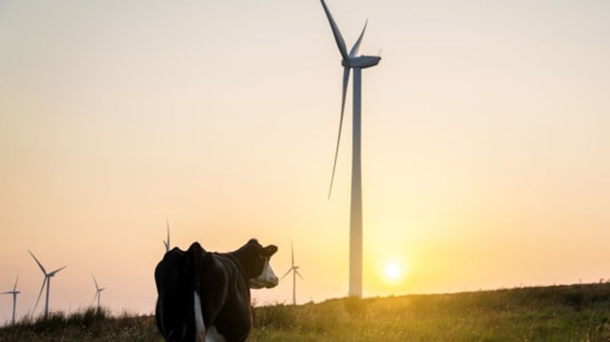 Bute Energy launches plans for latest energy park in Mid Wales ...