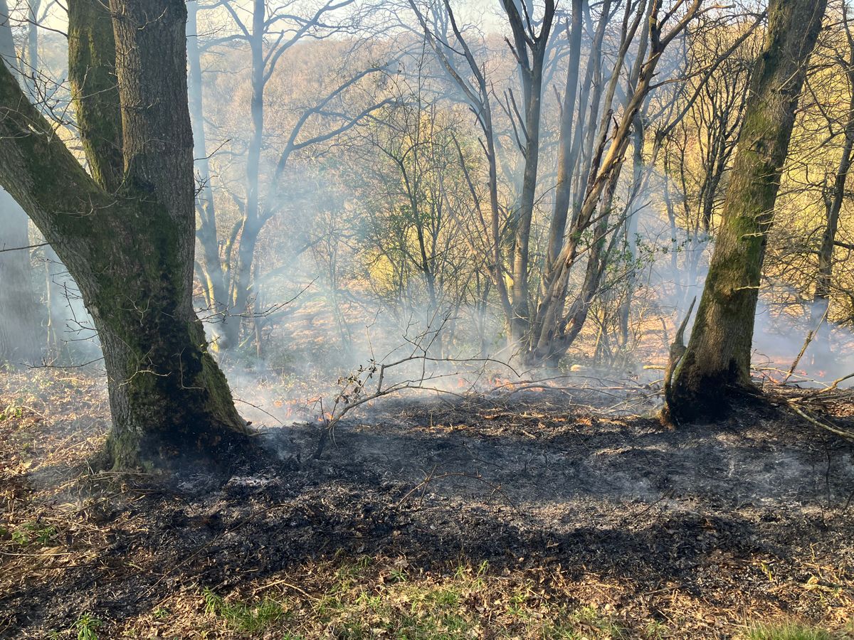 Latest Wordsley news | Express & Star