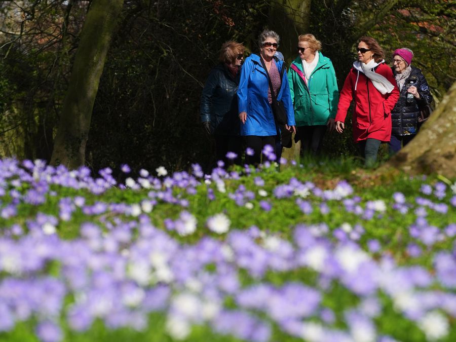 West Midlands weather: Met Office forecast weekend temperatures for ...