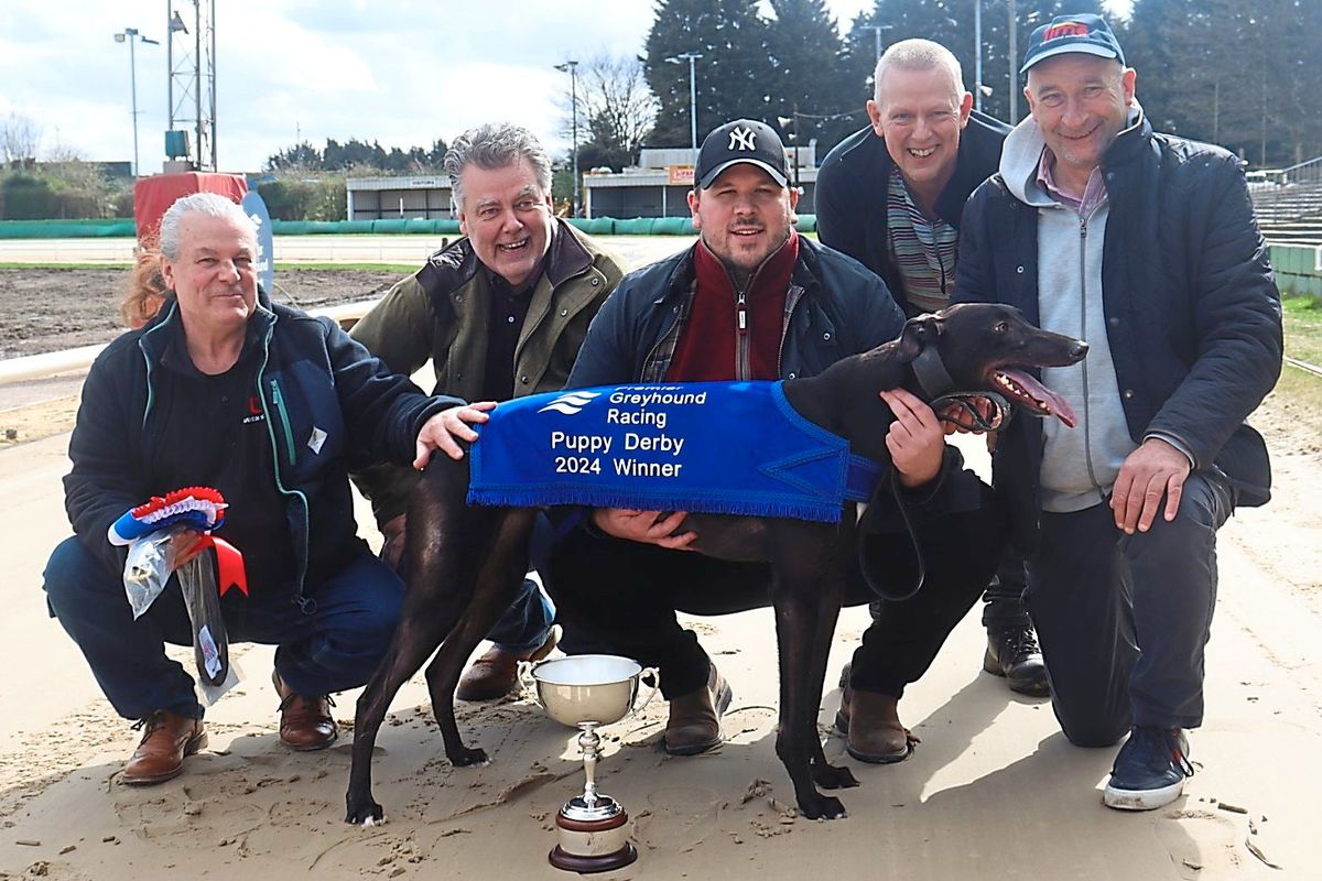 Dollar cashes in at Monmore to win Puppy Derby | Express & Star