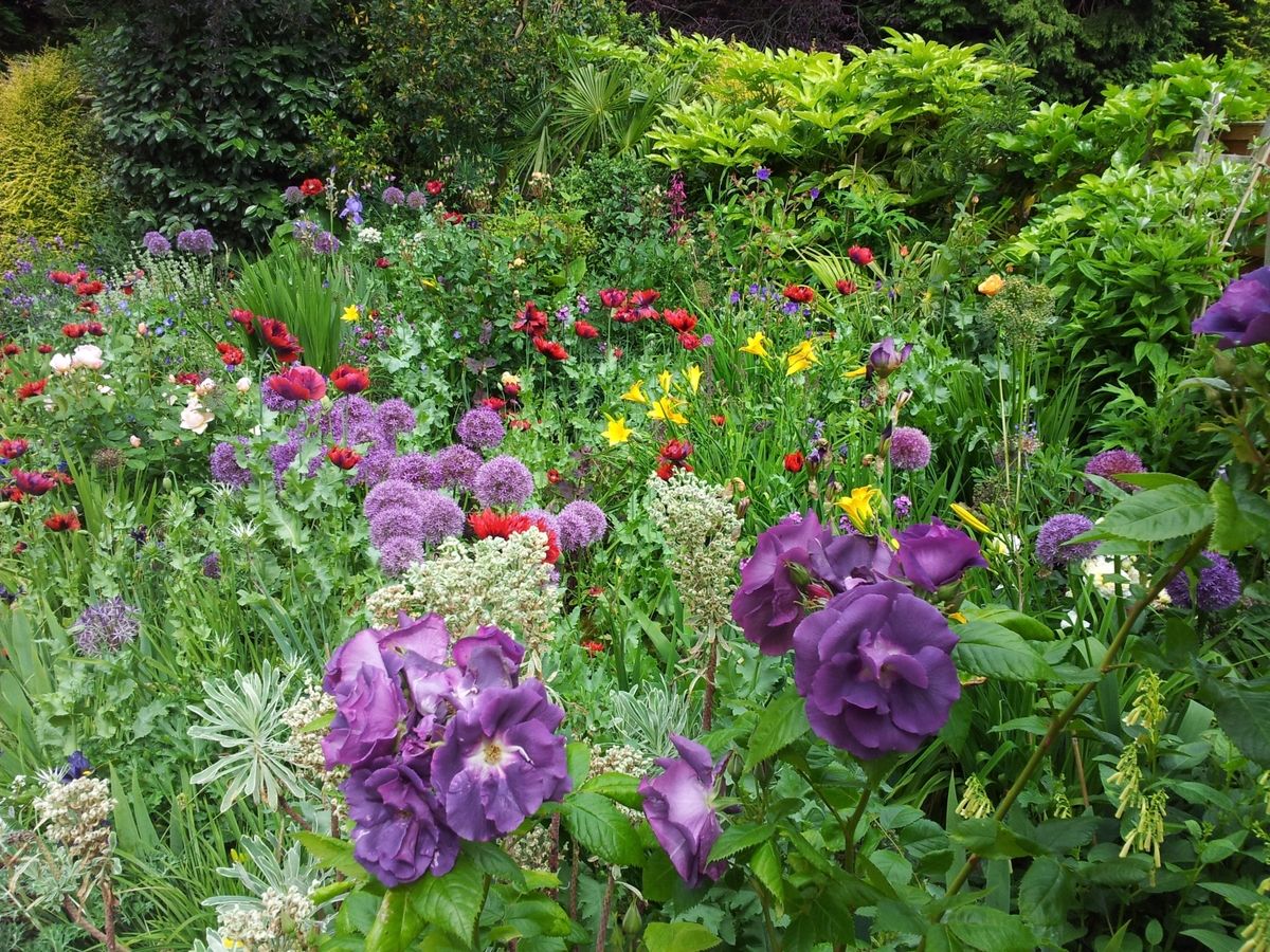 Award-winning Wolverhampton garden to star on BBC2's Gardeners' World ...