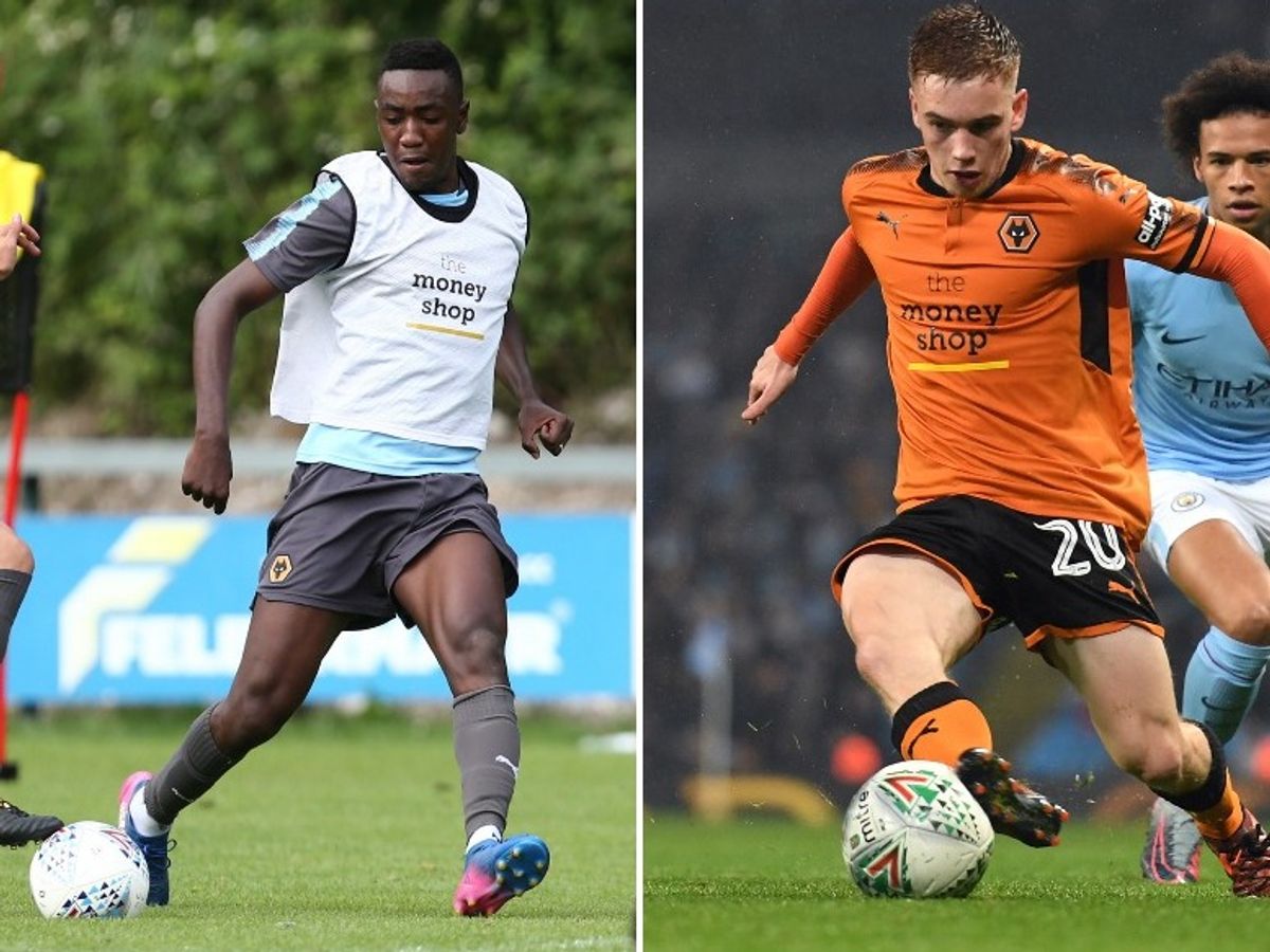 Wolves duo complete loan moves | Express & Star