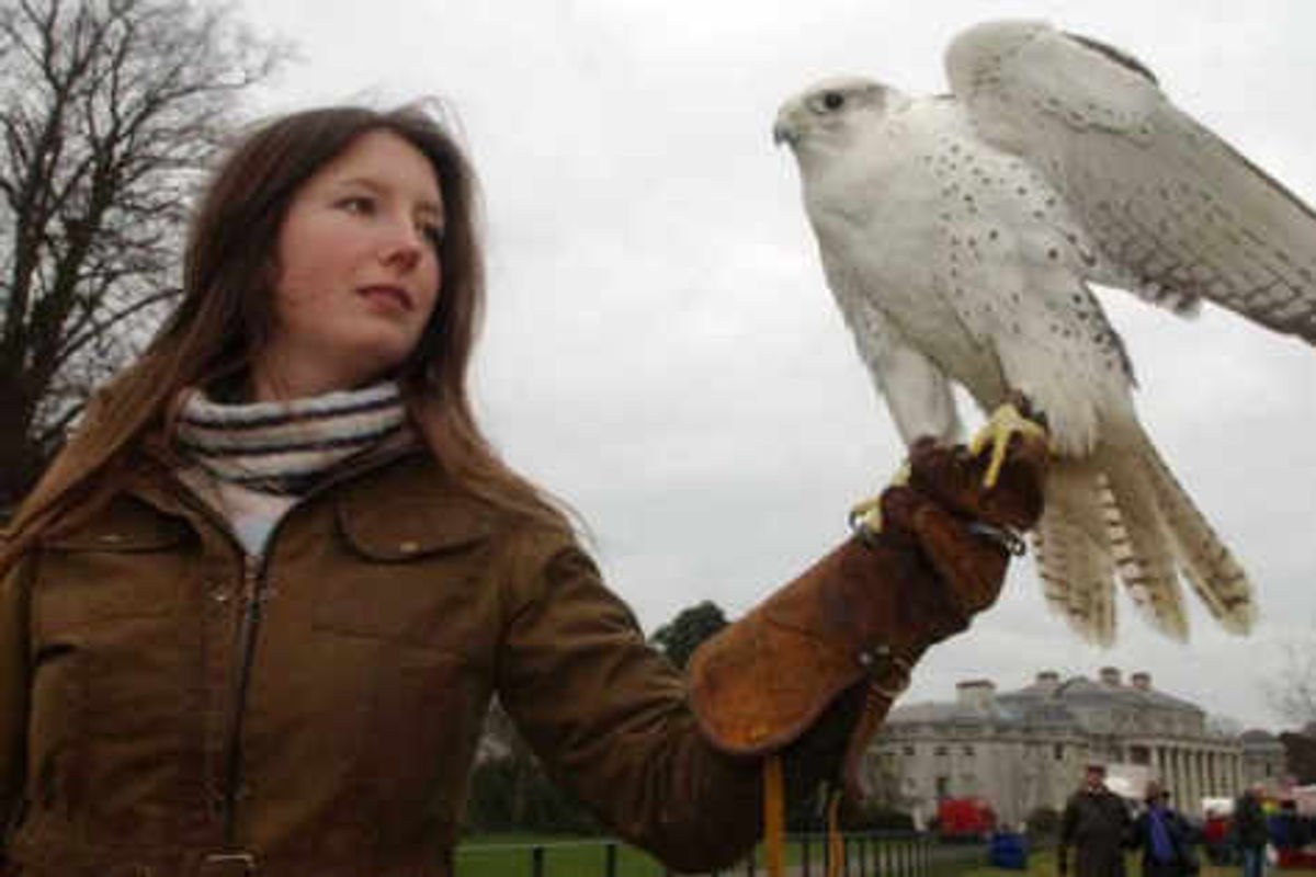 Layla walks out of Dragons' Den with £50,000 | Shropshire Star