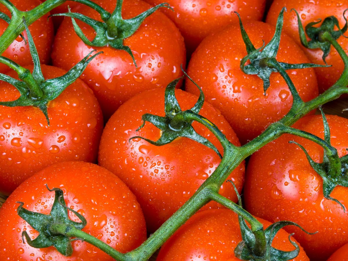 Asda introduces customer limit on tomatoes, peppers, cucumbers, lettuce ...