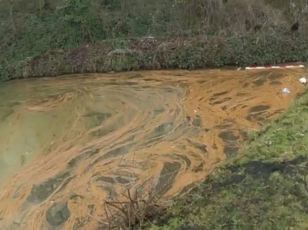 Investigation into mystery brown sludge in Bilston canal | Express & Star