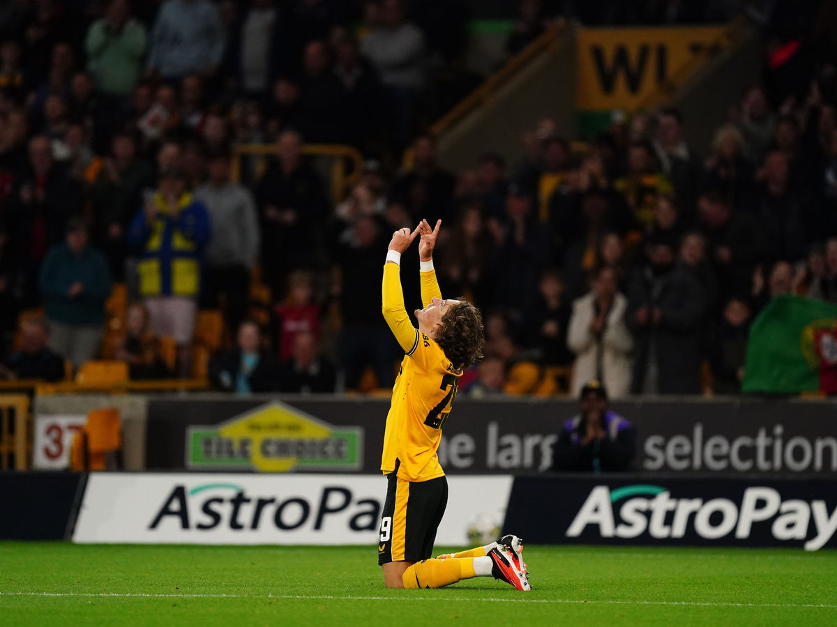 Fabio Silva - A Wolves timeline | Shropshire Star