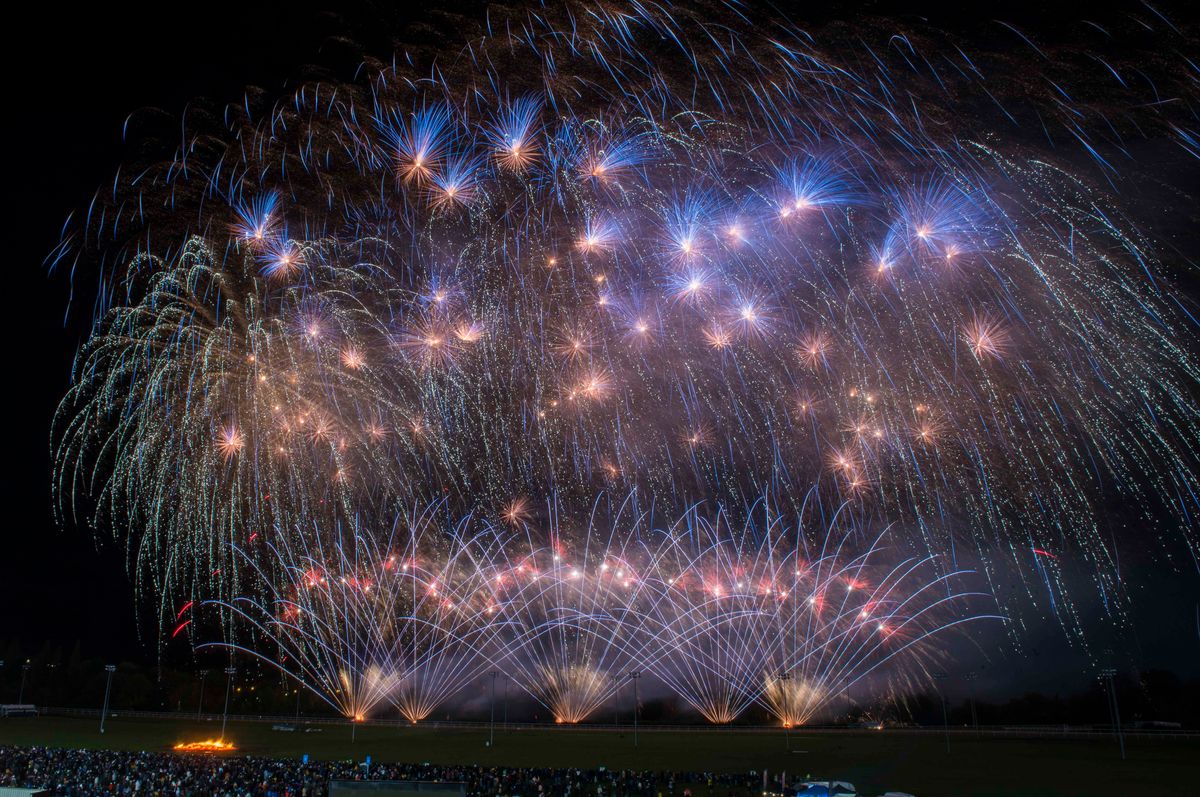 GALLERY: Wolverhampton and Himley Hall fireworks light up Black Country ...