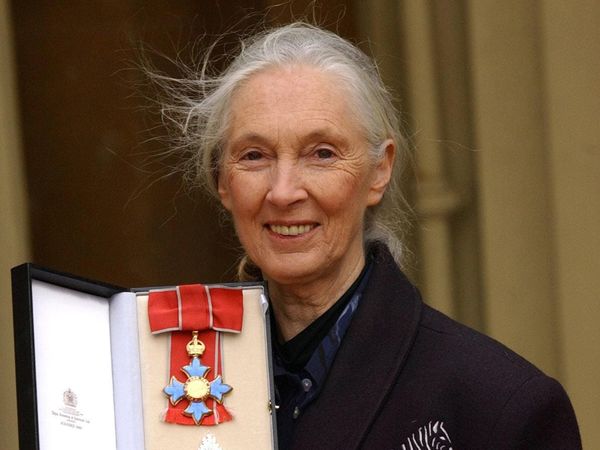 Ed Sheeran Transformed a Sold-Out Show Into a Time for Introspection ...