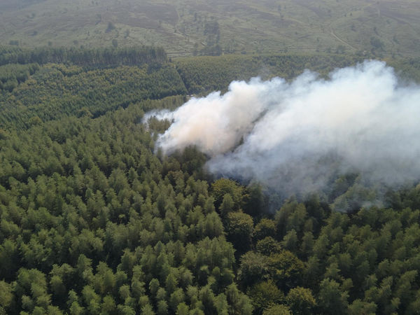 Warning from fire service after large wildfire at Cannock Chase ...