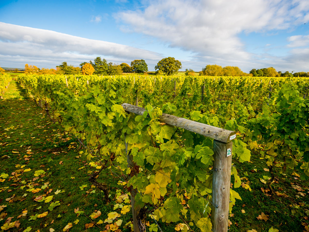New book celebrates region's drink heritage | Shropshire Star