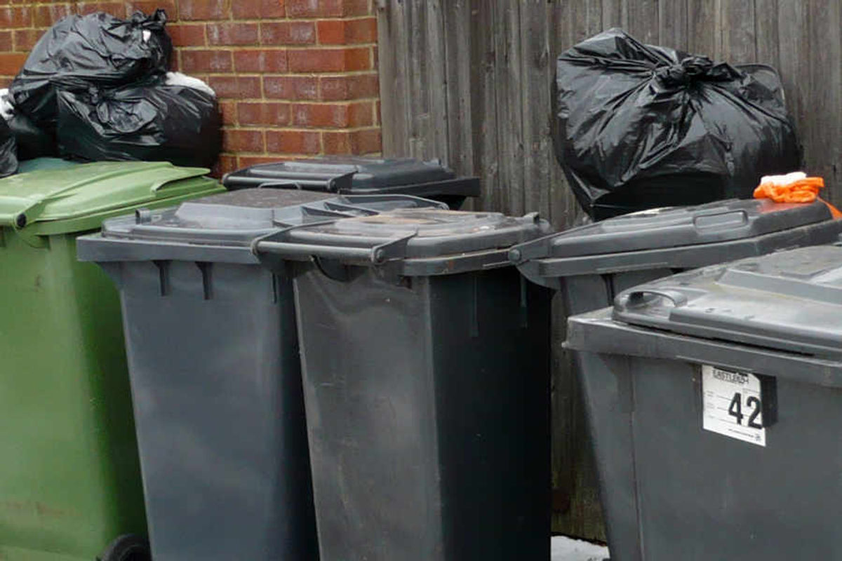 Wolverhampton bins to be collected once every TWO WEEKS in shake-up ...