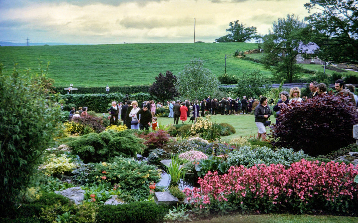 Clay subsoil spelt doom for Percy Thrower's magnificent Magnolias ...