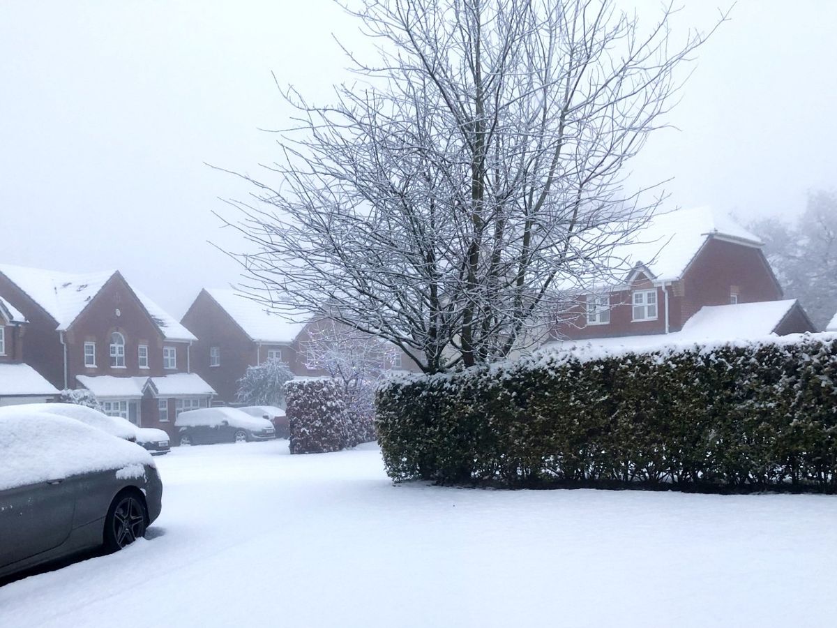 Travel warning and weather alert until midday as snow blankets the ...