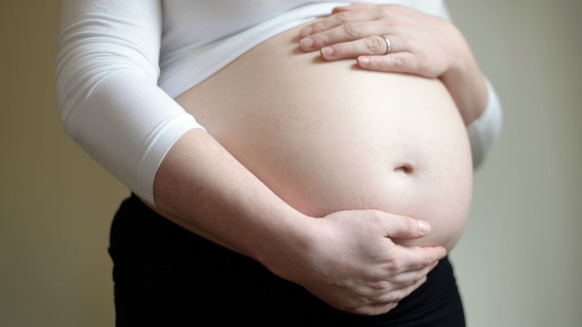 Scientists have created an 'artificial womb' in the lab that could help ...