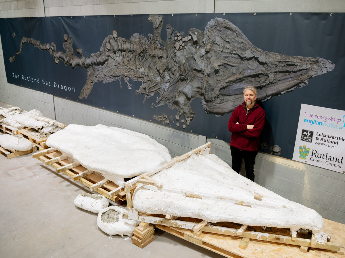 Delving into the real world of dinosaurs with Telford's Nigel Larkin ...