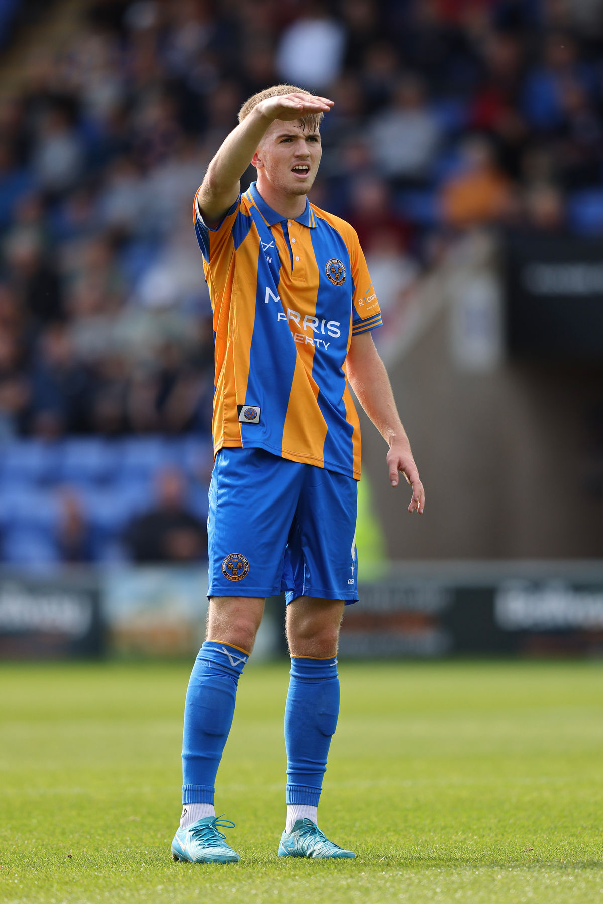 Paul Hurst provides a fitness update on Shrewsbury Town's Josh Feeney ...