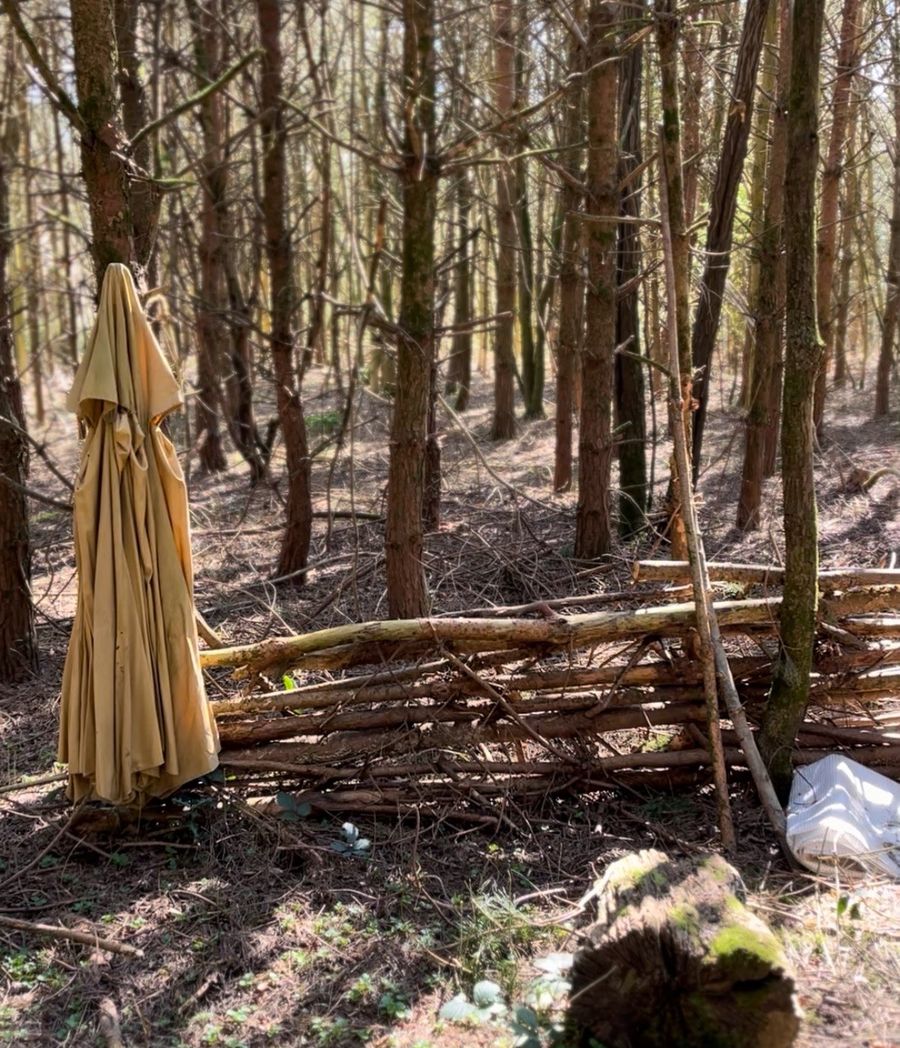 Buzzards Valley designated as Biodiversity Gain Site in landmark ...