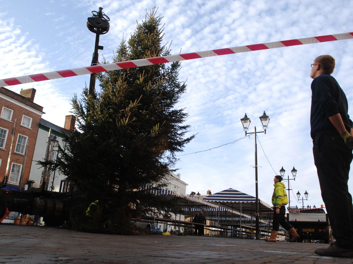 'Bound to look naff': Idea for artificial Ludlow Christmas tree ...