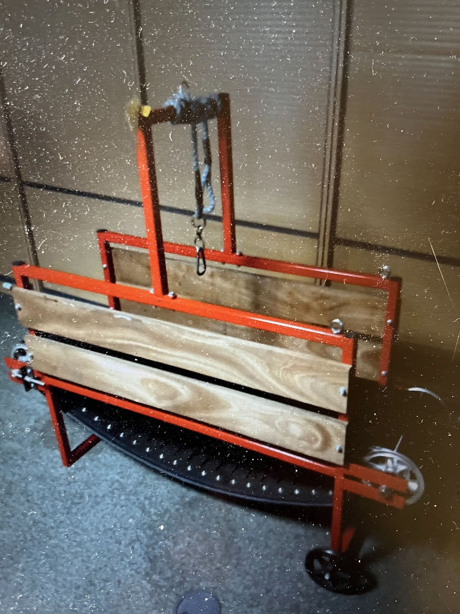 Inside Birmingham cellar of horrors where dogs were made to fight in ...