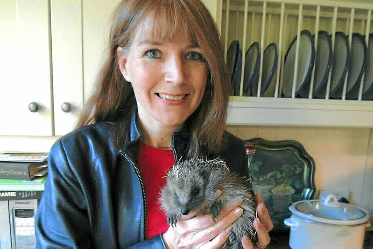Shropshire nature buff captures hedgehogs on camera | Shropshire Star