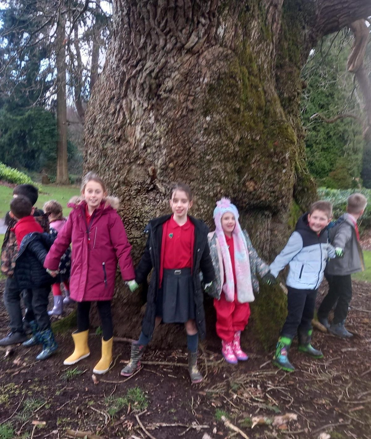 Lilleshall welcomes local school for tree planting celebration ...