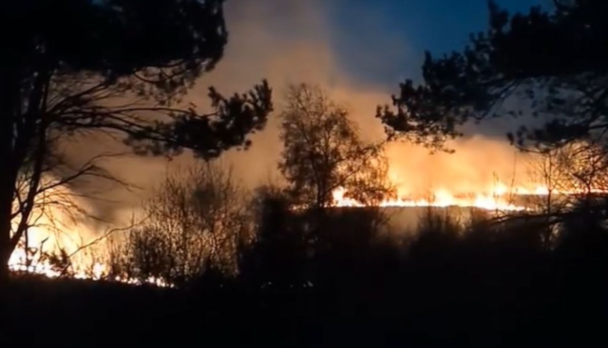 Watch: Aftermath of wildfire at Staffordshire nature reserve as fire ...