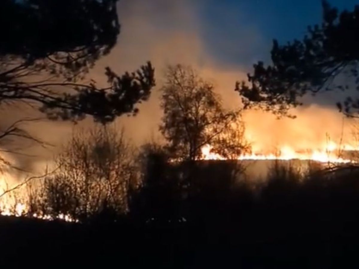 Latest Cannock news | Express & Star