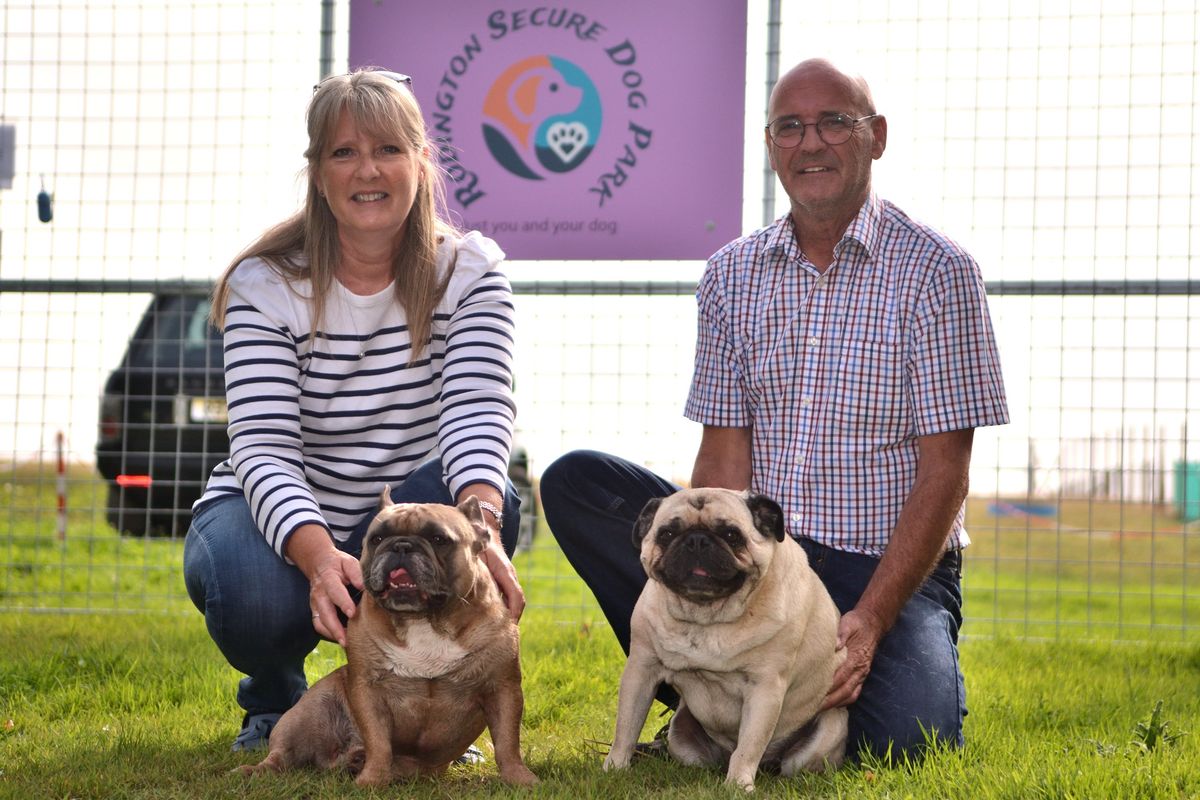 From grapes to Great Danes - Telford couple swap vineyard for new dog ...