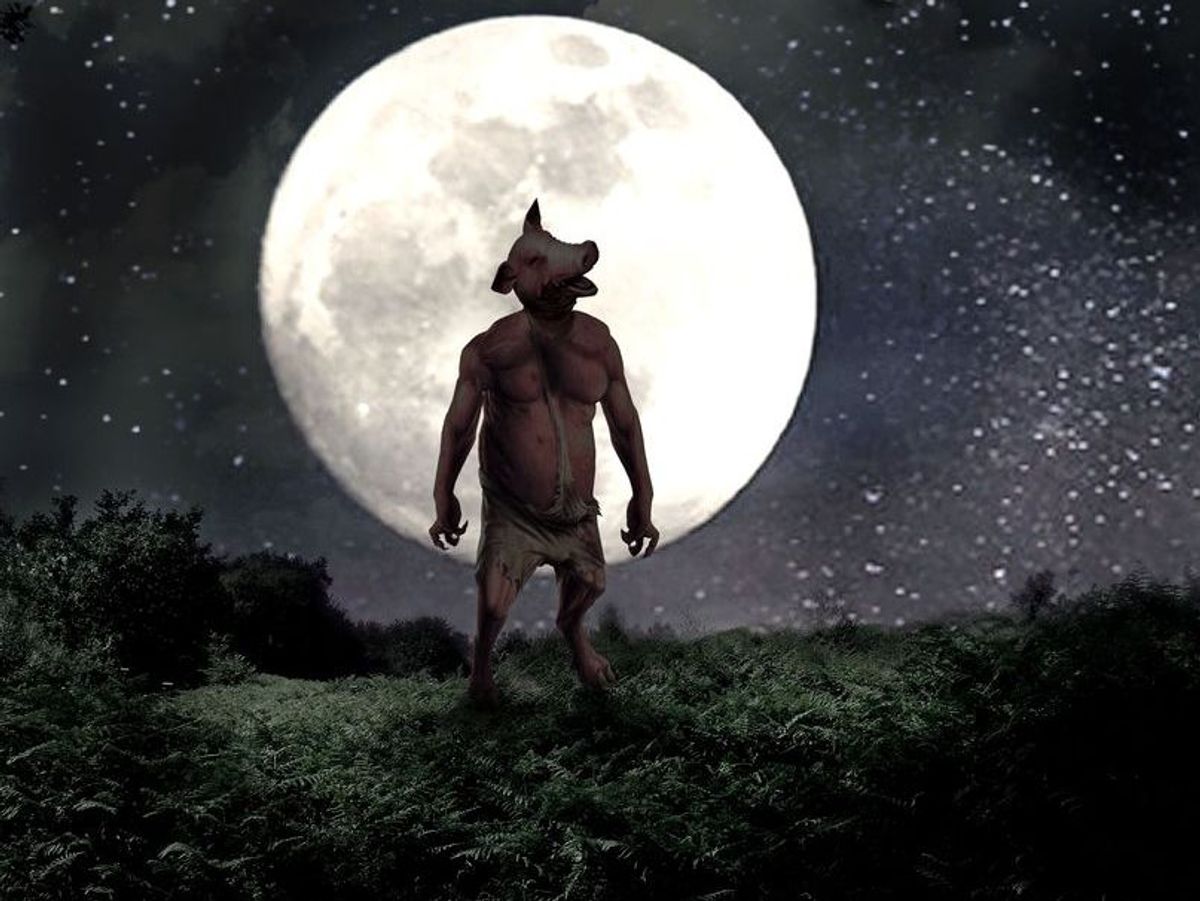 Discover creepy Cannock Chase this Halloween | Express & Star