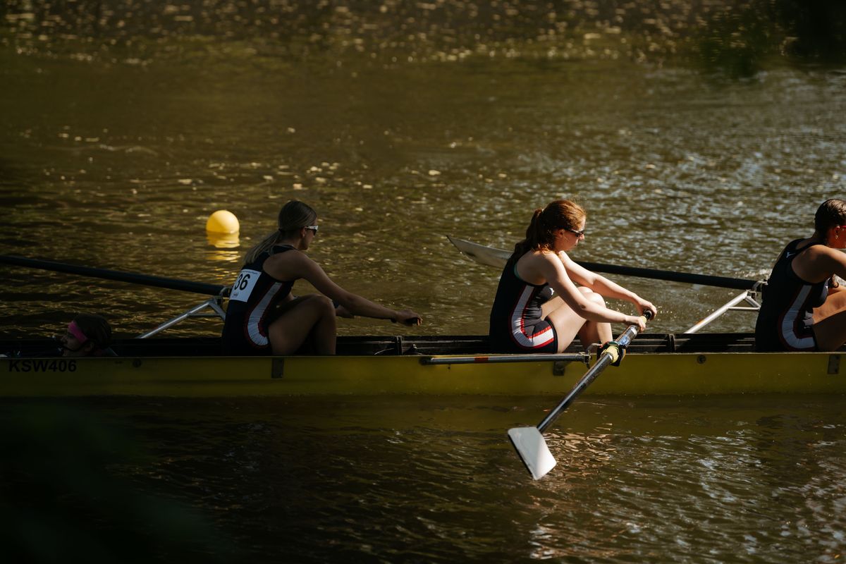 In pictures: Sunshine and Shrewsbury Regatta brings out the crowds as ...