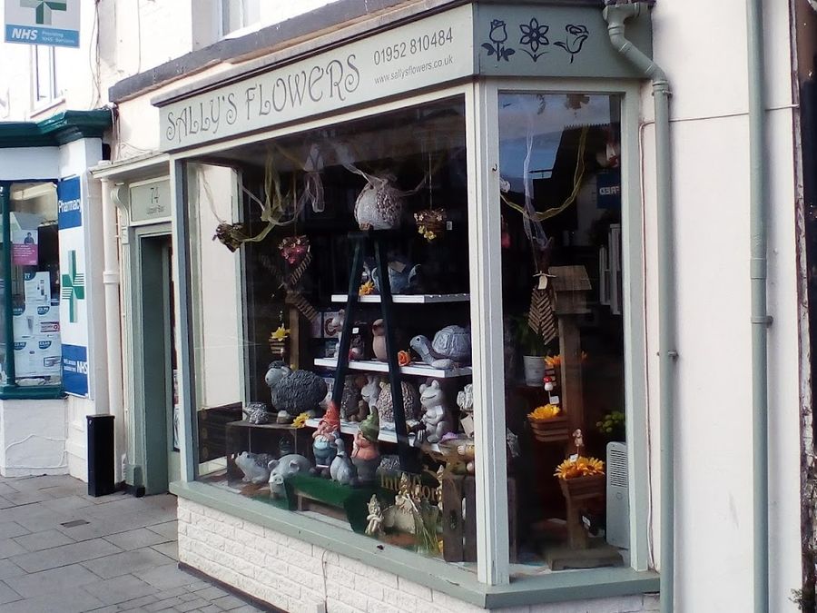 Latest Shropshire and Mid Wales news | Shropshire Star