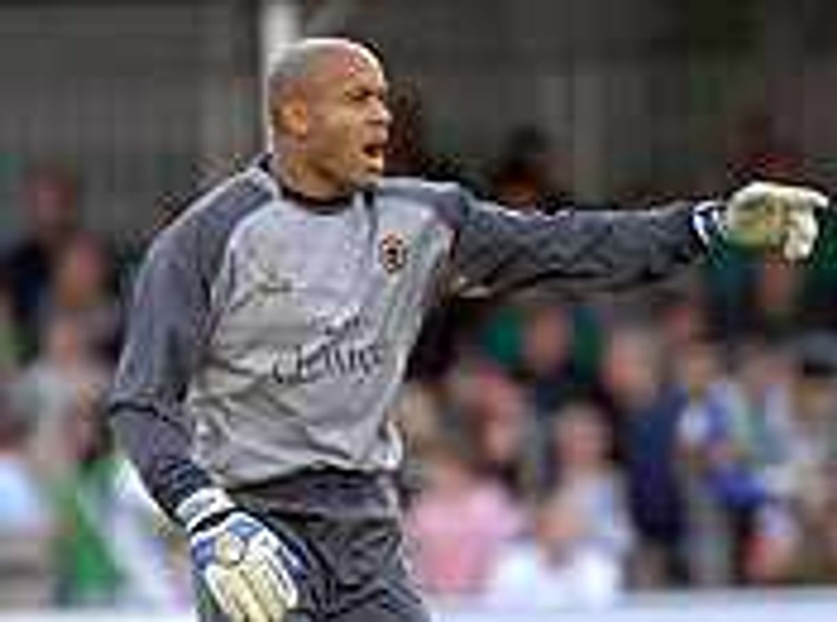 Wolves keeper has knee op | Express & Star