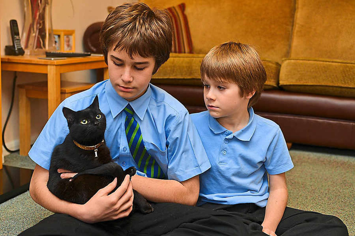 Anguish after Telford cat killer poisons pets | Shropshire Star