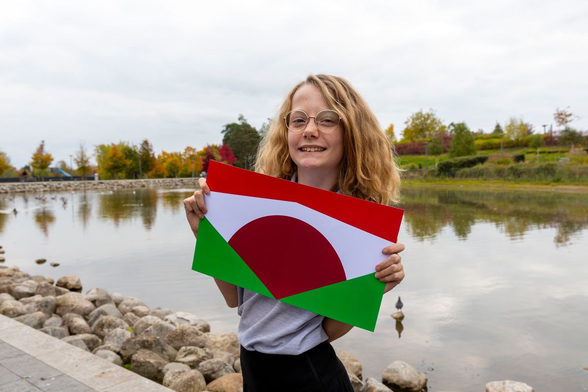 Residents invited to help choose official flag for Telford and Wrekin ...