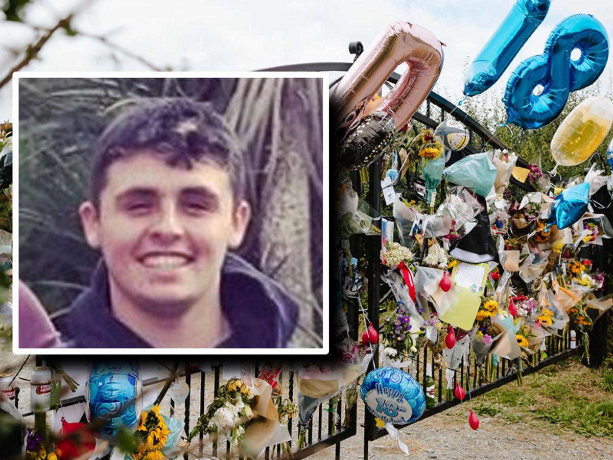 Dylan Price inquest told how teen was found in road by passing driver ...