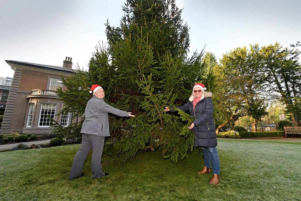 Annual campaign to recycle Christmas trees and help Wolverhampton ...