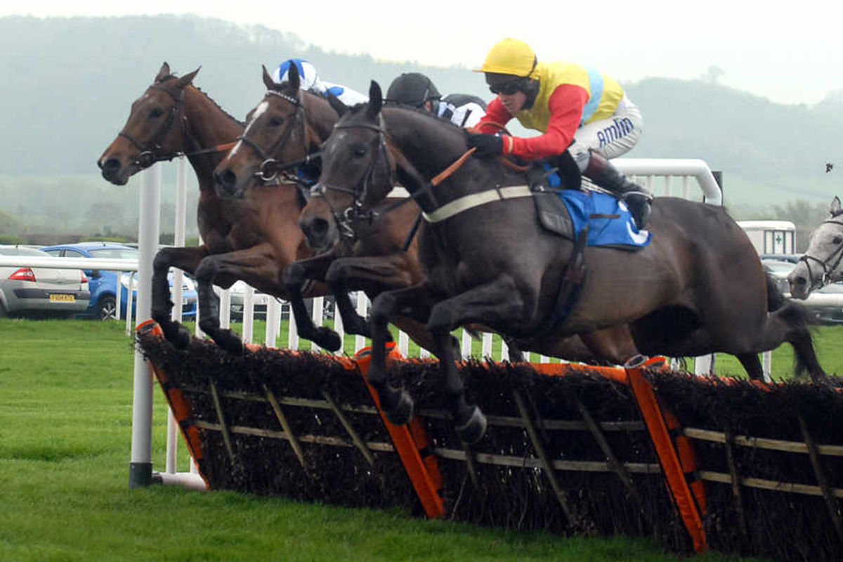 Shropshire's Tim Pitt collects Nottingham winner | Shropshire Star