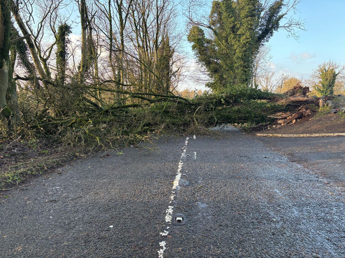 About 22,000 remain without power in Northern Ireland following Storm ...