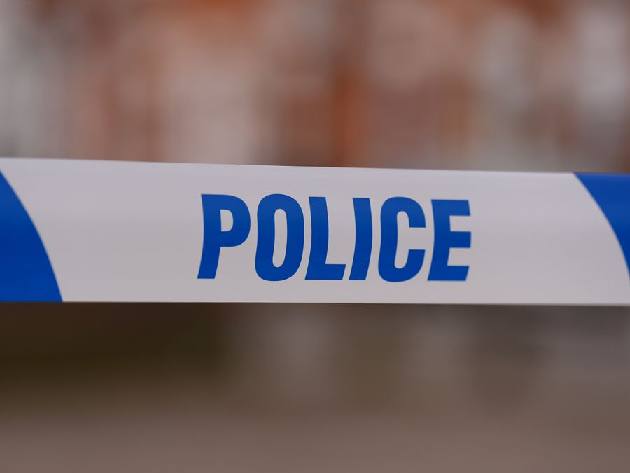 Mother was fatally bitten by her dog as her two pets fought over food ...