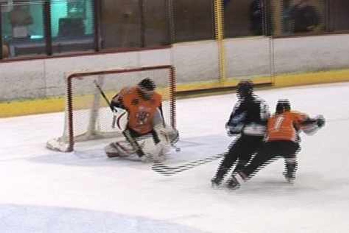 Telford Tigers take on Manchester Phoenix | Shropshire Star