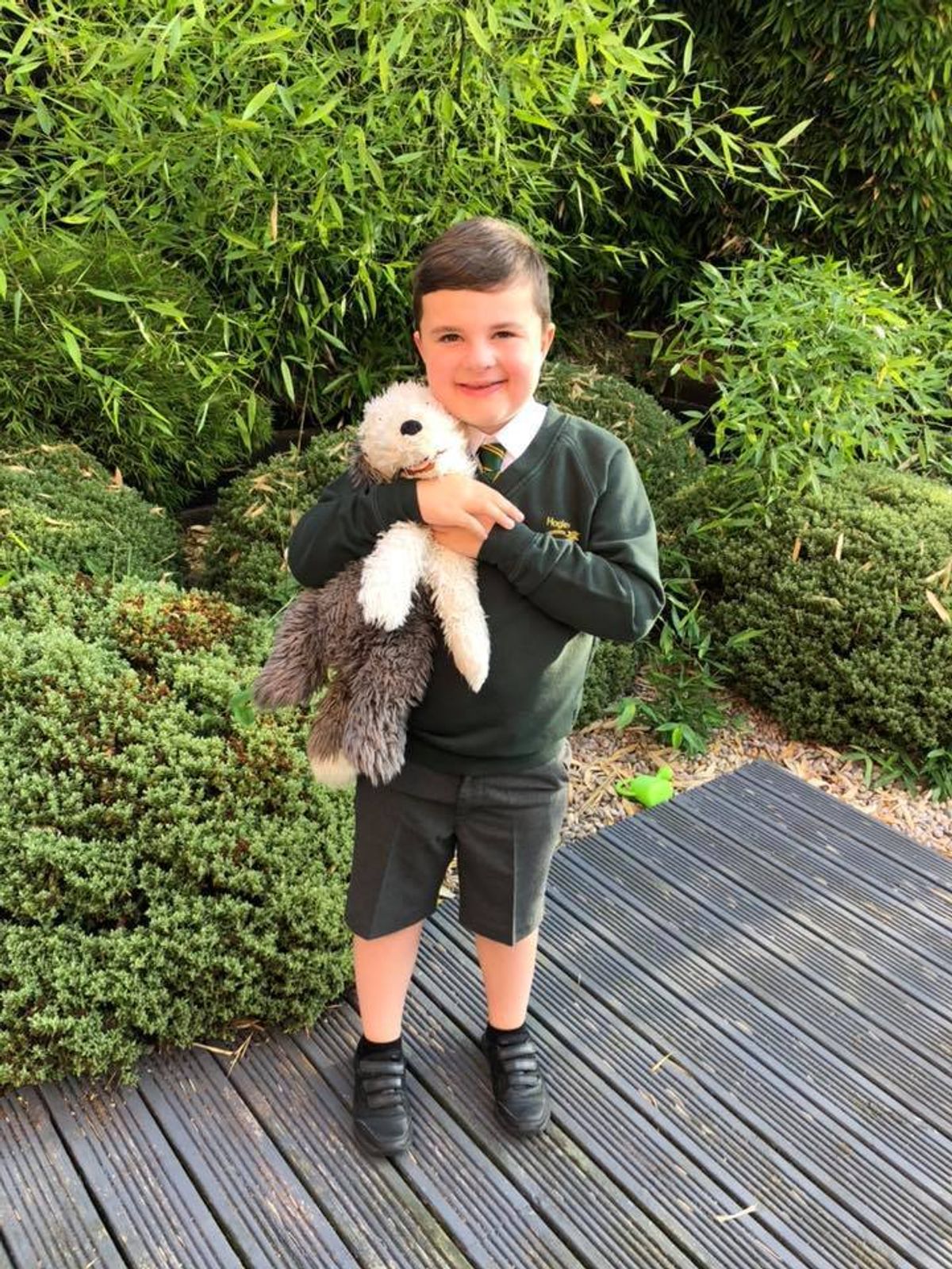 Joy as Brazilian stem cell donor match found for 'Fabulous Finn ...