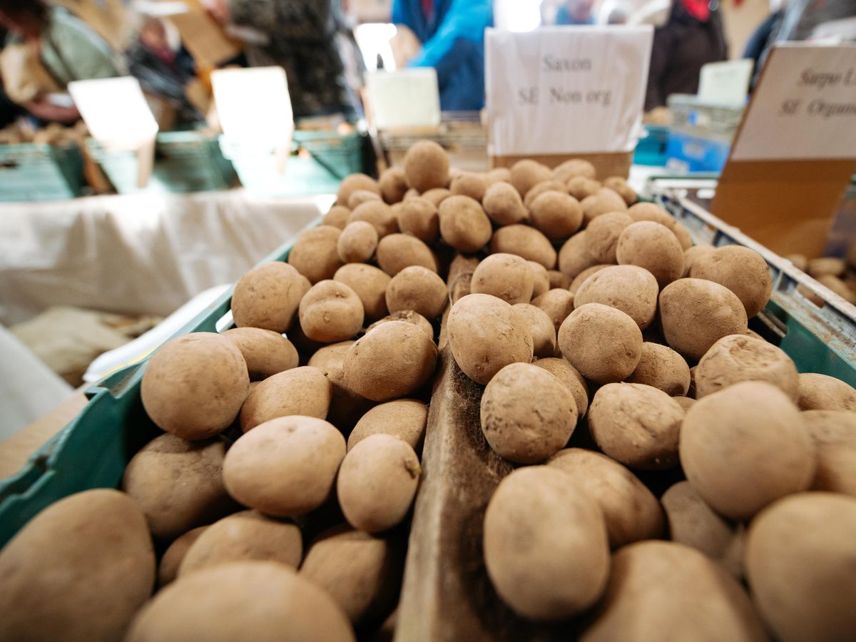 Hundreds of spud lovers pack into village hall for annual potato day ...