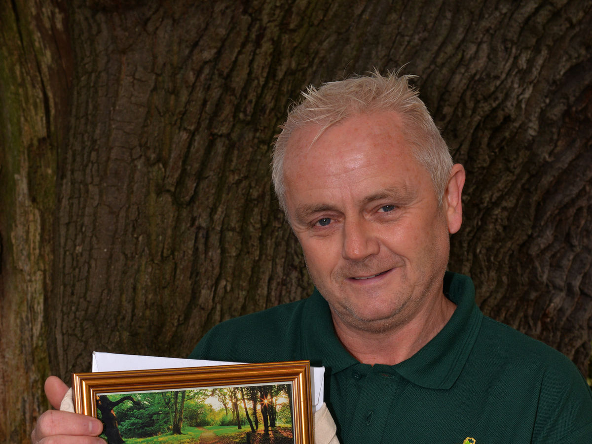 Ancient trees will be the subject of free event | Shropshire Star